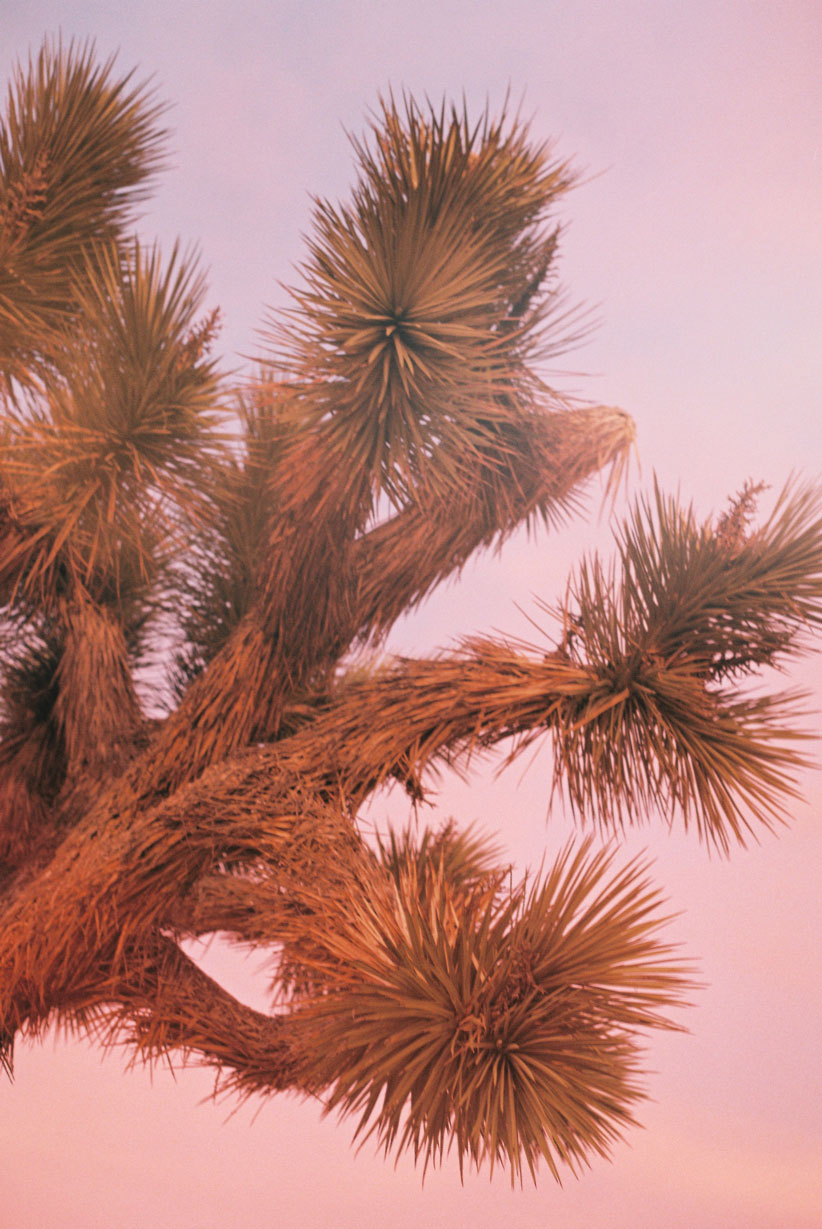 LRNCE – Ceramics, Textiles & Leather accessories